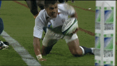 England Rugby Sport GIF by Rugby World Cup - Find & Share on GIPHY