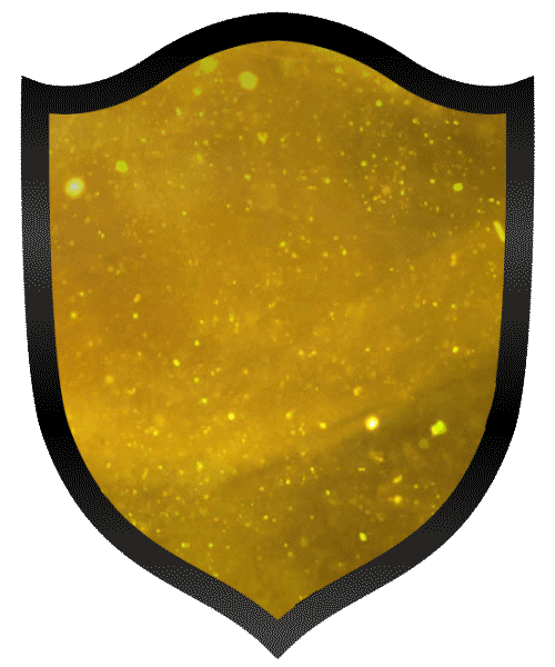 Wizarding World Sticker for iOS & Android | GIPHY