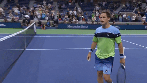 Us Open Sport GIF by ATP Tour - Find & Share on GIPHY