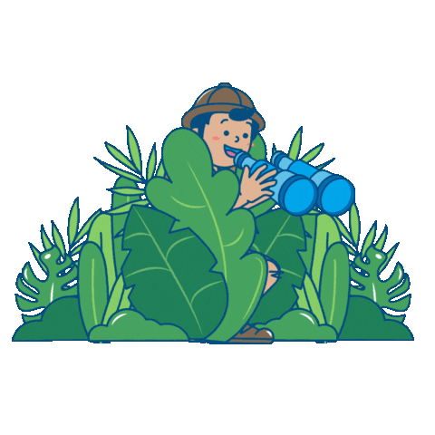 Traveling Labuan Bajo Sticker by Airy for iOS & Android | GIPHY