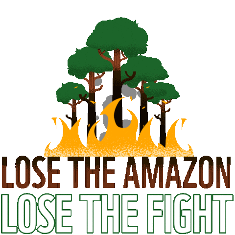 Amazon Wwf Sticker by WWF_UK for iOS & Android | GIPHY