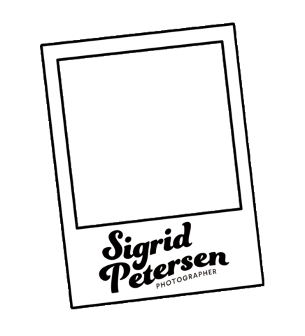 Photo Shoot Photography Sticker by Carter Bros. Fruit & Veg for iOS ...