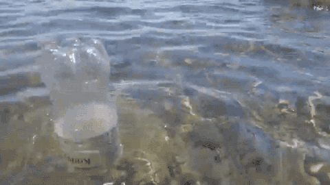 Float GIF - Find & Share on GIPHY