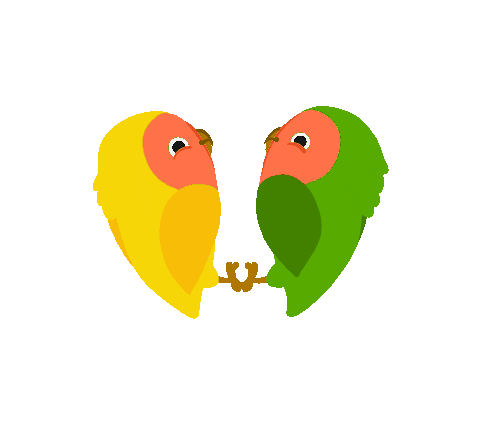 Love Bird Hug Sticker for iOS & Android | GIPHY