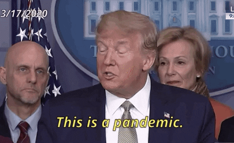 Donald Trump GIF - Find & Share on GIPHY