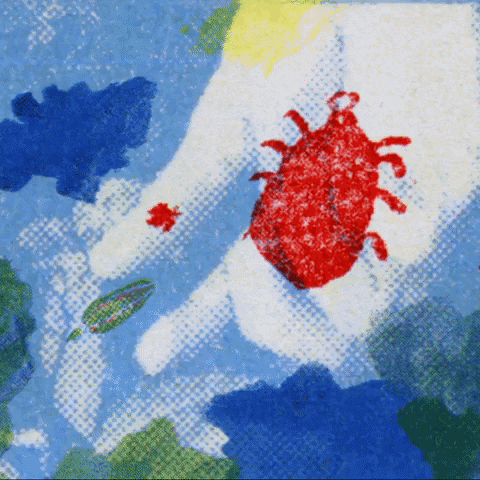 Animation Tick GIF by kiin. - Find & Share on GIPHY