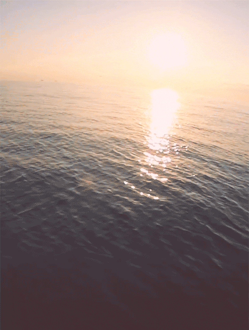 Ocean GIF - Find & Share on GIPHY