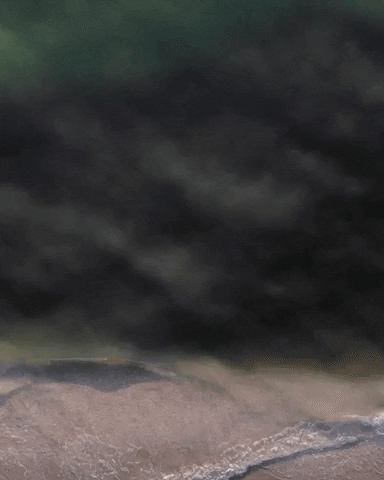 Flying From Above GIF by Chris - Find & Share on GIPHY