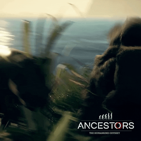 Ancestors GIF by Ancestors: The Humankind Odyssey - Find & Share on GIPHY