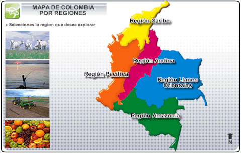 Region GIFs - Find & Share on GIPHY