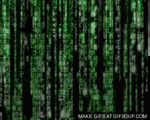 The Matrix GIF - Find & Share on GIPHY