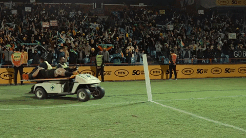 Attention keyboard warriors! Some new Bok gifs on giphy. : r/springboks