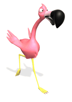 Flamingo GIFs - Find & Share on GIPHY