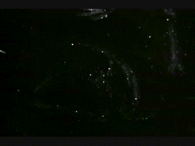 Outer Space GIF - Find & Share on GIPHY