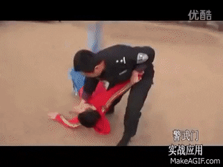 Resisting Arrest GIFs - Find & Share on GIPHY