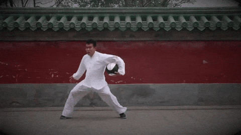 Taichi GIFs - Find & Share on GIPHY