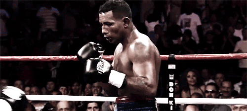 Boxing GIF - Find & Share on GIPHY