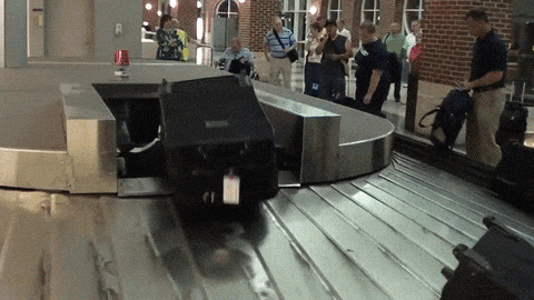 Baggageupvote GIFs - Find & Share on GIPHY