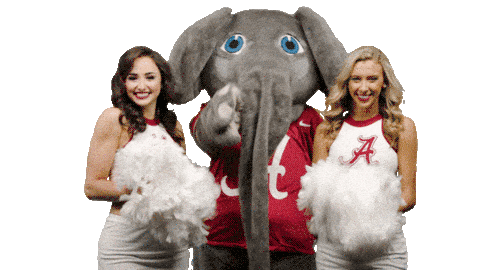 Big Al Roll Tide Sticker by The University of Alabama for iOS & Android ...