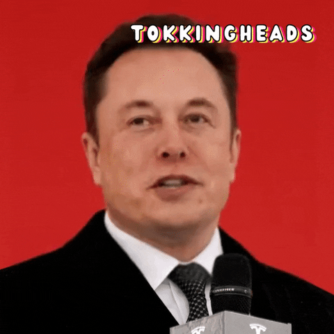 Elon Musk Reaction GIF by Tokkingheads - Find & Share on GIPHY