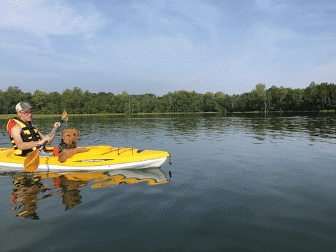 Faster GIF - Find & Share on GIPHY