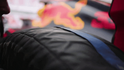 Red Bull Racing GIF - Find & Share on GIPHY