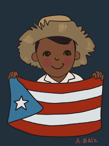 Puerto Rico Flag GIF by Alejandra Baiz - Find & Share on GIPHY