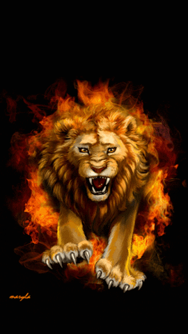 Amazing Animated Lion Gifs Best Animations