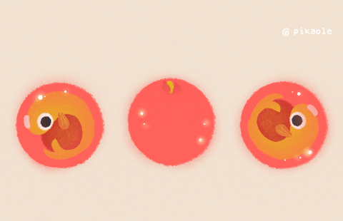 Marine Life Fish GIF by pikaole - Find & Share on GIPHY