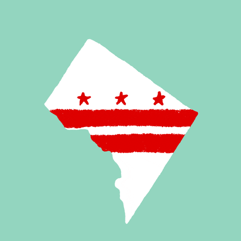 Washington Dc Usa GIF by INTO ACTION - Find & Share on GIPHY