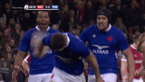 Celebrate France GIF by Guinness Six Nations - Find & Share on GIPHY