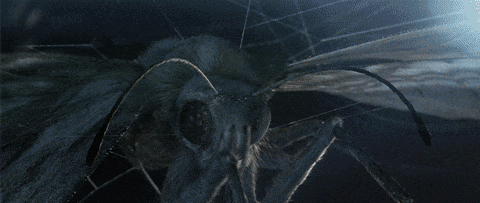 Death Loom GIF by Woodblock - Find & Share on GIPHY