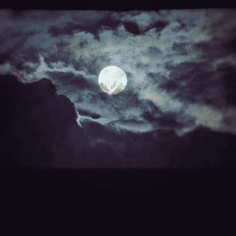 Full Moon Night GIF by Robert Matejcek - Find & Share on GIPHY