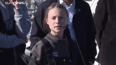 Greta Thunberg GIF by euronews - Find & Share on GIPHY