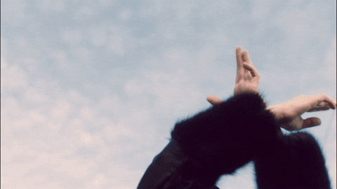 Fun Bird GIF by ZZ Ward - Find & Share on GIPHY