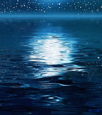 Reflection GIF - Find & Share on GIPHY