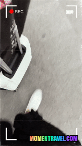 Embarque GIF by Momentravel - Find & Share on GIPHY