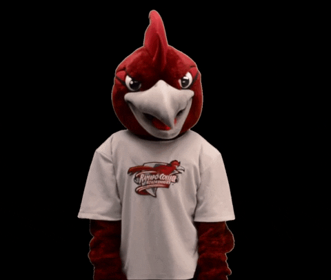 Mascot Rcnj GIF by Ramapo College of New Jersey - Find & Share on GIPHY