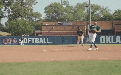 Mens Fastpitch GIF by USA Softball - Find & Share on GIPHY