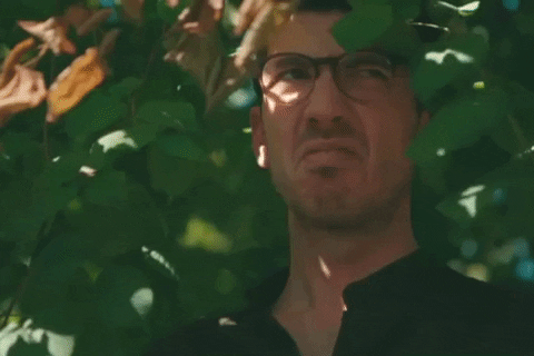 Angry Tree GIF by alexibexi - Find & Share on GIPHY