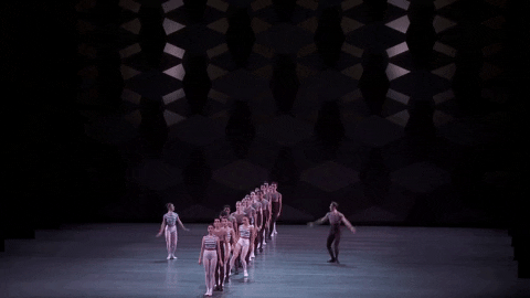 Sufjan Stevens Dance GIF by New York City Ballet - Find & Share on GIPHY