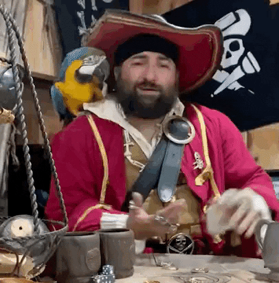 Pirate Parrot GIF by Pirate's Parley - Find & Share on GIPHY
