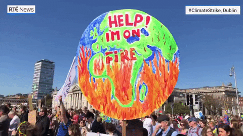 GIPHY News GIF - Find & Share on GIPHY