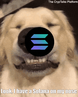 edulanasca (Eduardo) · GitHub