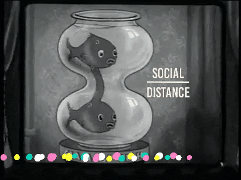 Stay Home Take Care GIF by Fleischer Studios - Find & Share on GIPHY