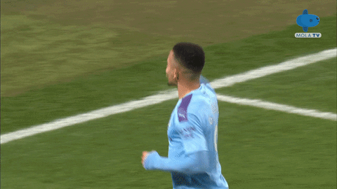Everton Ligainggris GIF by MolaTV - Find & Share on GIPHY