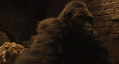 Robert Downey Jr GIF by Dolittle - Find & Share on GIPHY