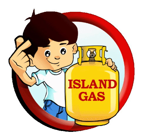 Safety Tips Cooking Sticker by sundayelephant for iOS & Android | GIPHY