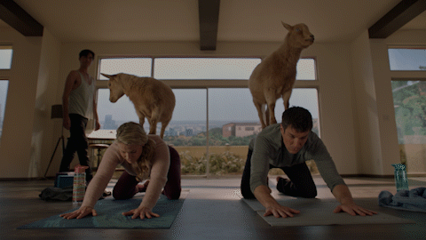 Nathan Fillion Yoga GIF by ABC Network - Find & Share on GIPHY