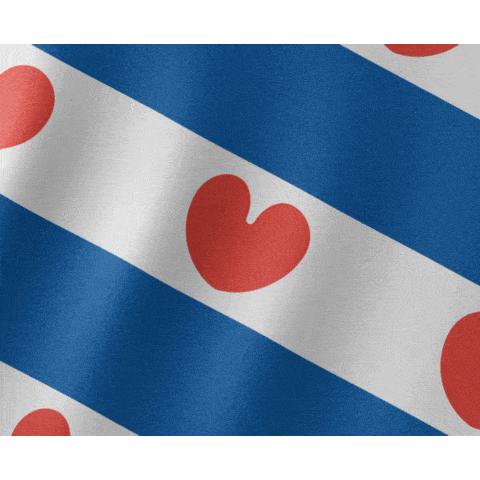 Top Flag GIF by Omrop Fryslân - Find & Share on GIPHY